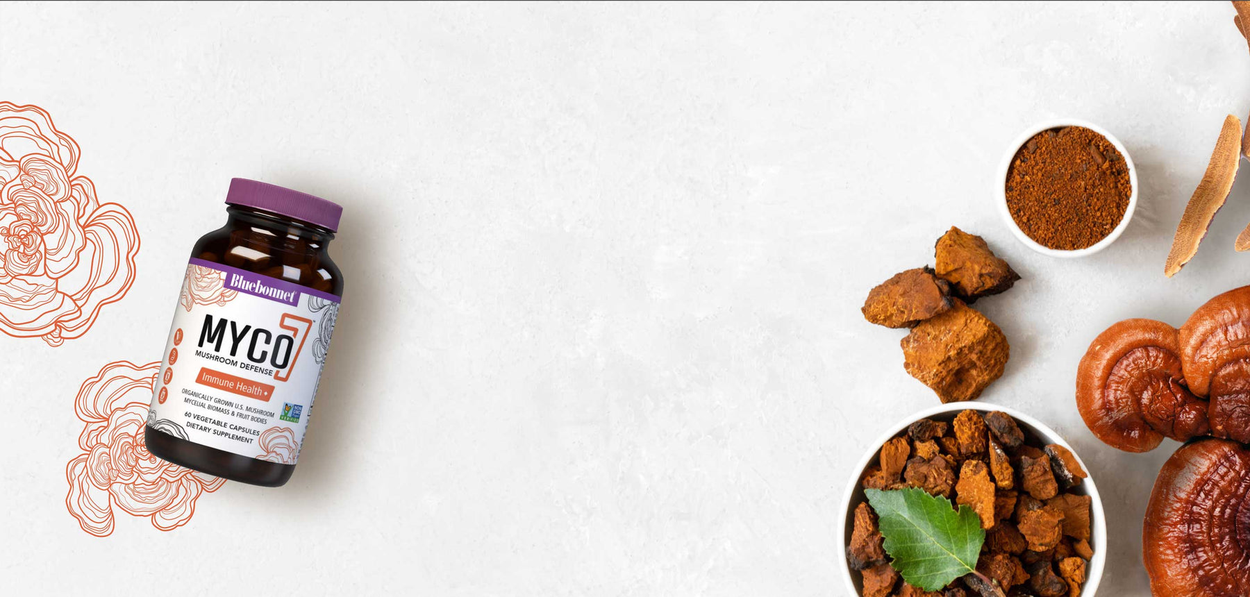Bluebonnet Nutrition-Vitamins-Minerals-Proteins-Herbs-Supplements